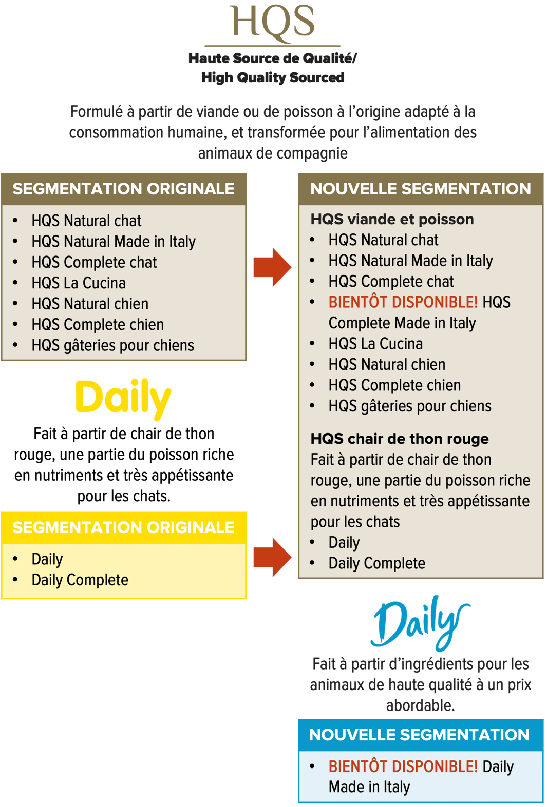 Tout ce que vous devez savoir sur notre nouvelle segmentation